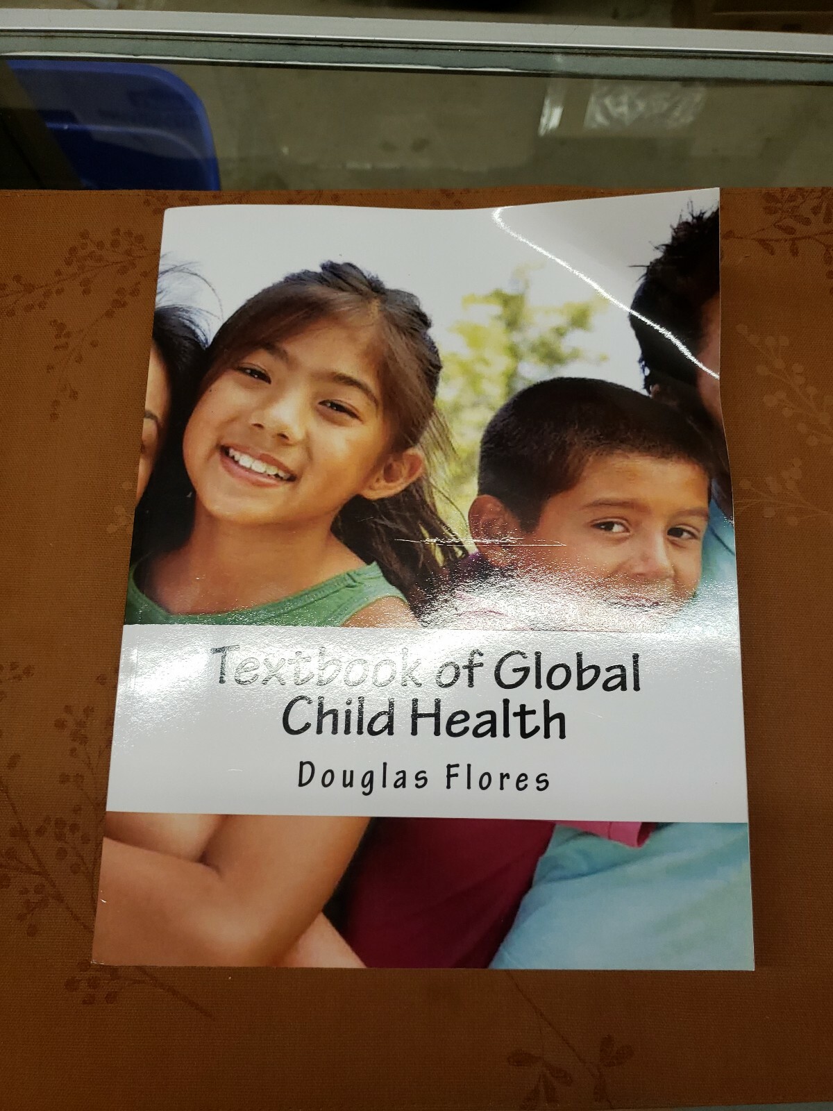 Textbook of Global Child Health by Douglas Flores (2017, Trade ...