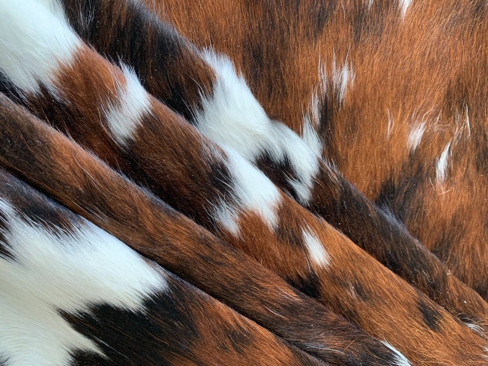 Tricolor Cow Hide Skin Leather Rug - Average Size 7X6 feet - New ...