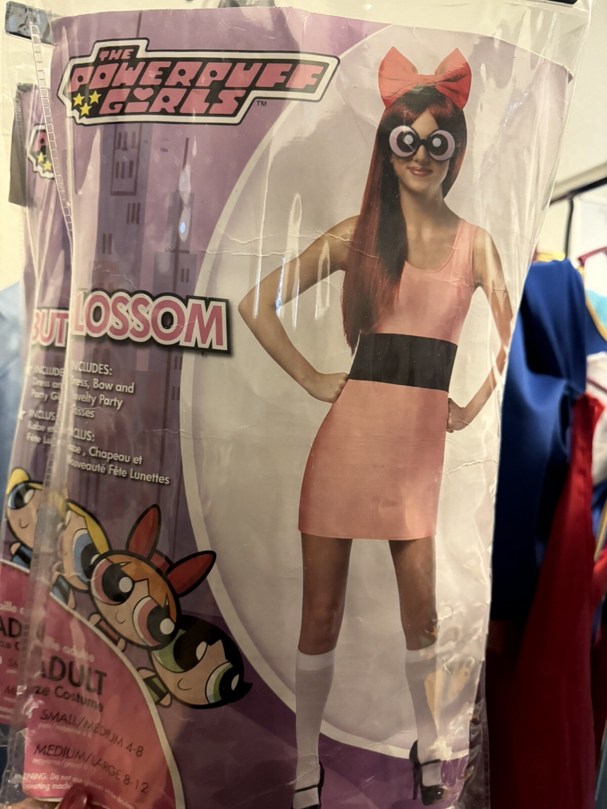 Powerpuff Girls Blossom Deluxe Adult Costume Cosplay … - Gem