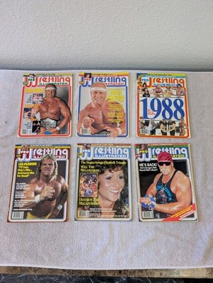 Lot Of 6 Vintage WWF Magazines Pro Wrestling Illustrated 1980s/90s | eBay