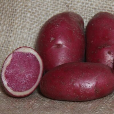 Highland Burgundy Red Seed Potatoes, Certified Potatoes -For Planting ...