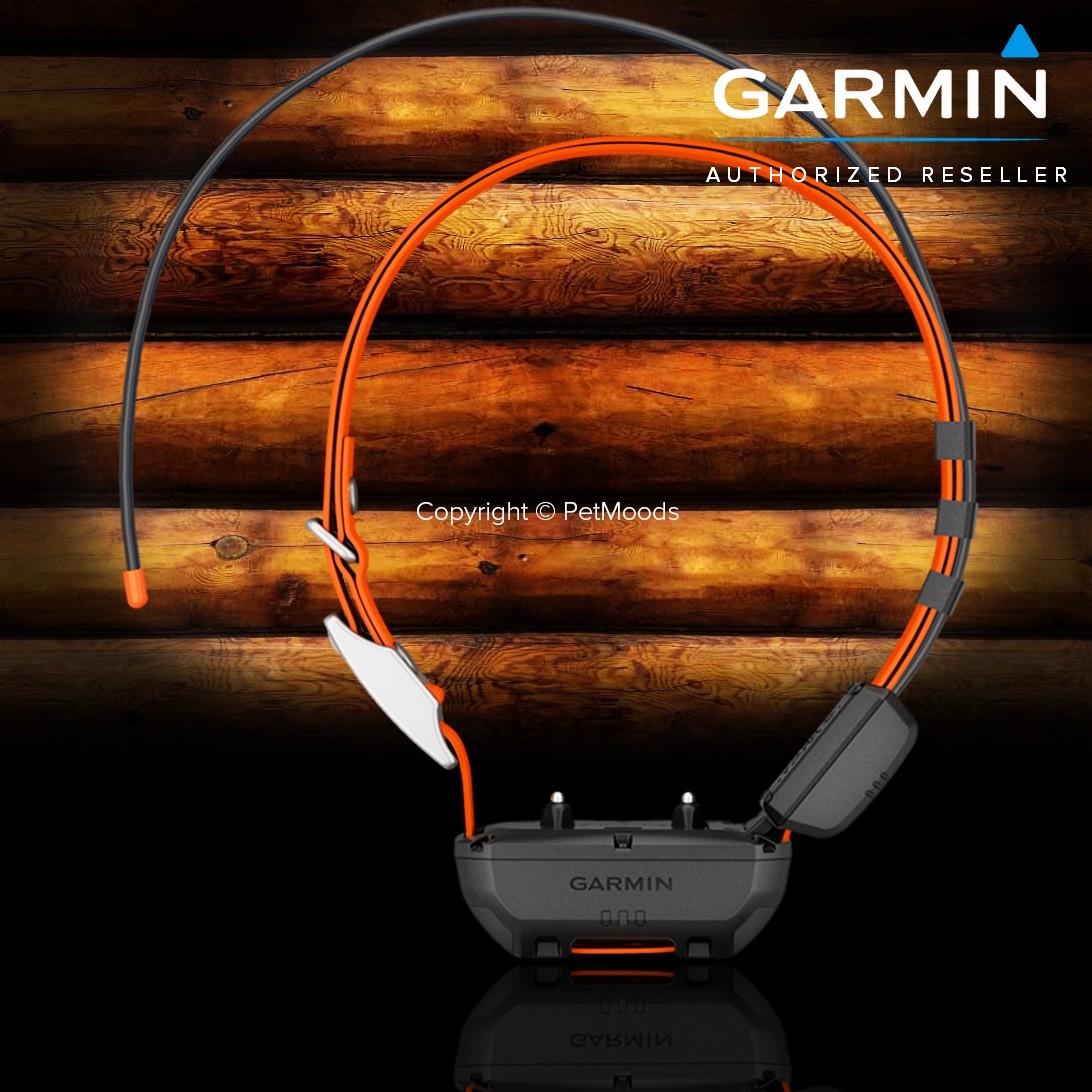 Garmin TT25 Mini Tracking Training Collar with Zero Length GPS Band ...