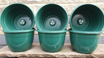 PACK 6 27CM GARDEN TOMATO PLANT HALO TOMATOES BULB PLANTER WATER POT ...