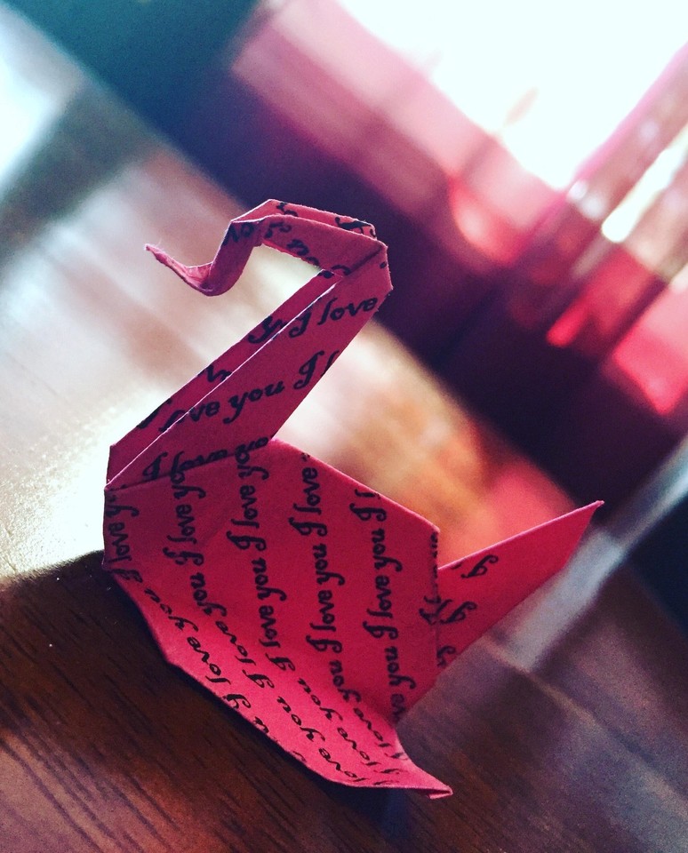 Prison break Origami rose flower paper swan crane MICHAEL SCOFIELD ...