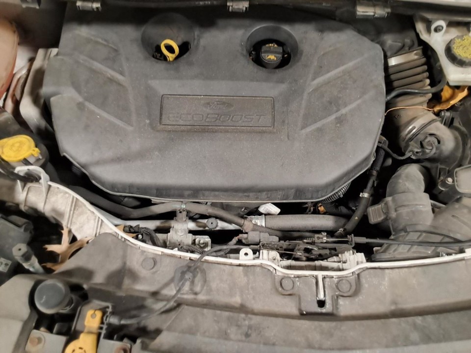 Driver Rear Side Door Electric Windows Automatic Up Fits 13-19 ESCAPE ...