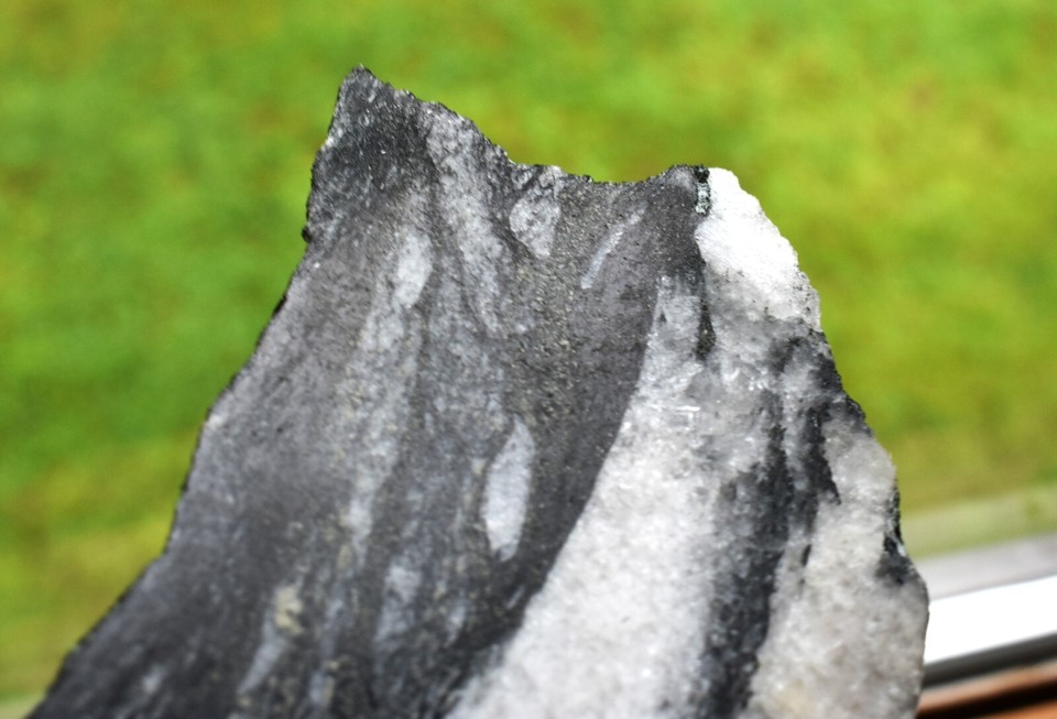 Mica-Schist Silver Black White Quartz Polished Slab Blue Ridge North ...