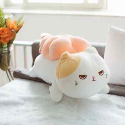 OFFICIAL MINISO ADORABLE SUSHI CAT SHRIMP COMFORTABLE PLUSH TOY, 14 ...