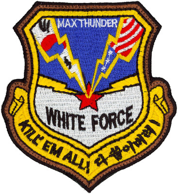 USAF 25th FIGHTER SQUADRON MAX THUNDER WHITE FORCE PATCH | eBay
