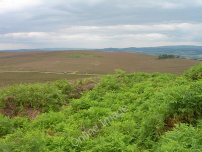 Photo 6x4 Path up to Ros Castle Chillingham Shows the vegetation by the ...