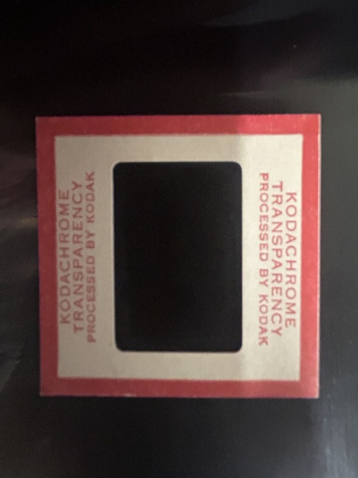 Blonde Girl Cotton Candy Bleachers Circus 35mm Slide 1950s Red Border ...