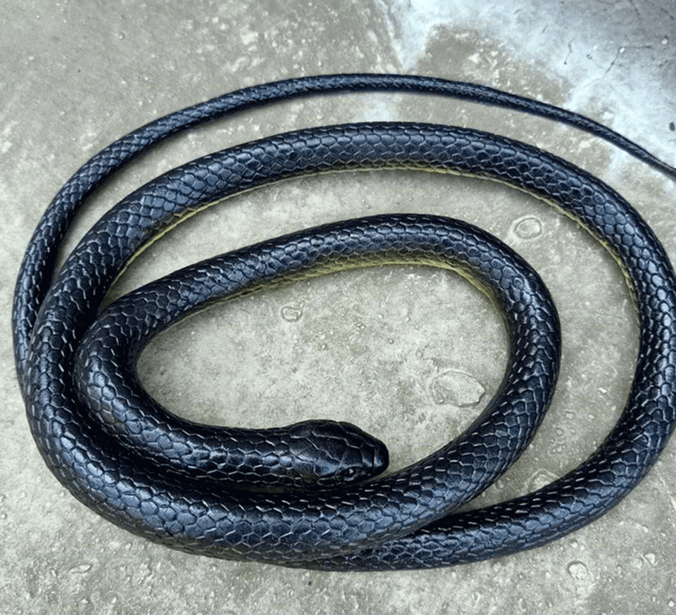 52" Fake Realistic Snake Lifelike Scary Rubber Toy Prank Party Joke ...