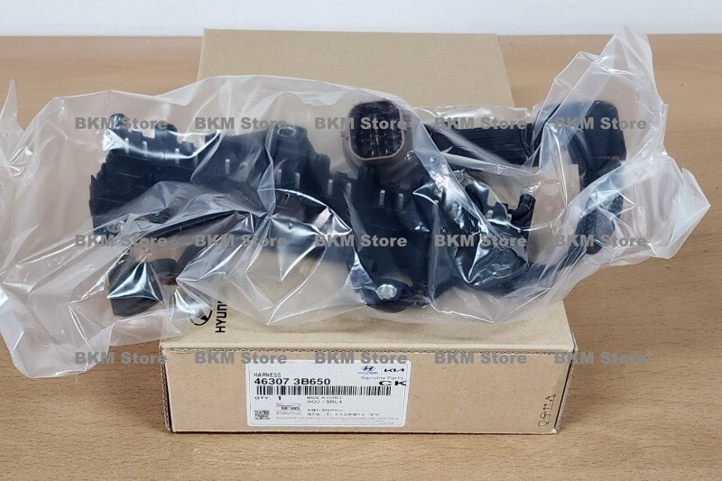 Genuine 463073B650, 463073B610, 463073B620 Harness for Hyundai, Kia ...