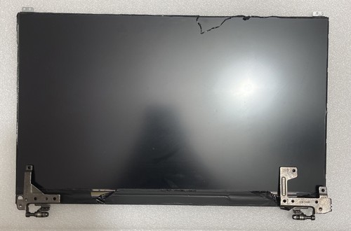 DELL LCD DISPLAY 15.6 FHD INSPIRON 3501 P90F-30 Pin- 09Y4K4 (Has Rails ...