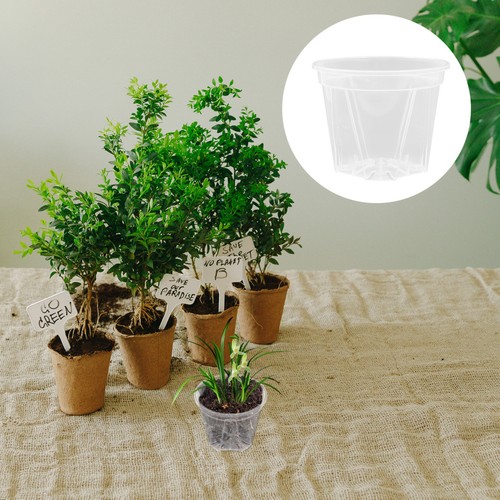 Vasi Piante Grasse Vaso Per Orchidea Piccoli Da Fiori Di Orchidee | eBay