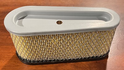 Oregon AIR FILTER 30-049 FITS BRIGGS & STRATTON 493909 | eBay