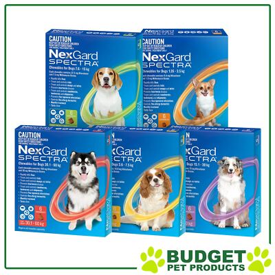 Nexgard Spectra 6 Packs | eBay Australia