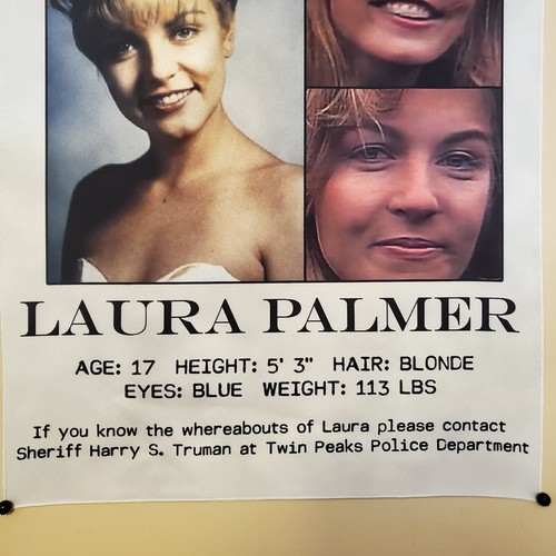 Laura Palmer missing poster (tapestry) Twin Peaks 🗻🗻 custom banner wall ...