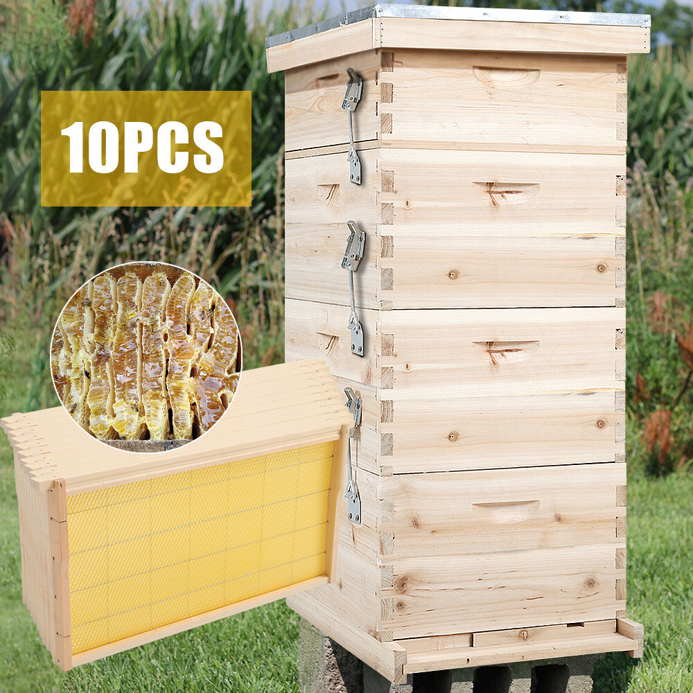 4Tier Langstroth Beehive Box Beekeeping with 20pcs Super & Brood Bee ...