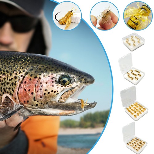 Hand-Painted Abdominal Segment Bee Bait Soft Release Insect Outdoor ...