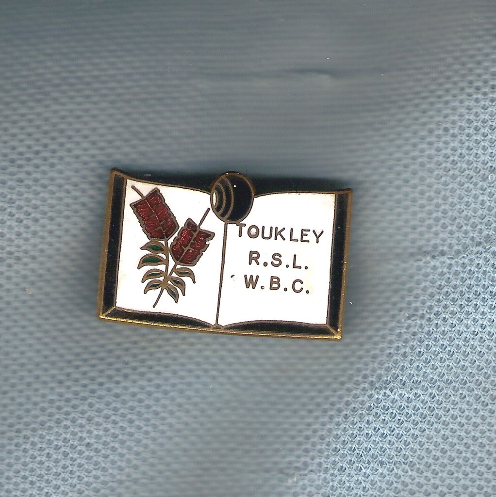 #D140. OLD ENAMEL TOUKLEY RSL WOMENS BOWLING CLUB LAPEL BADGE | eBay