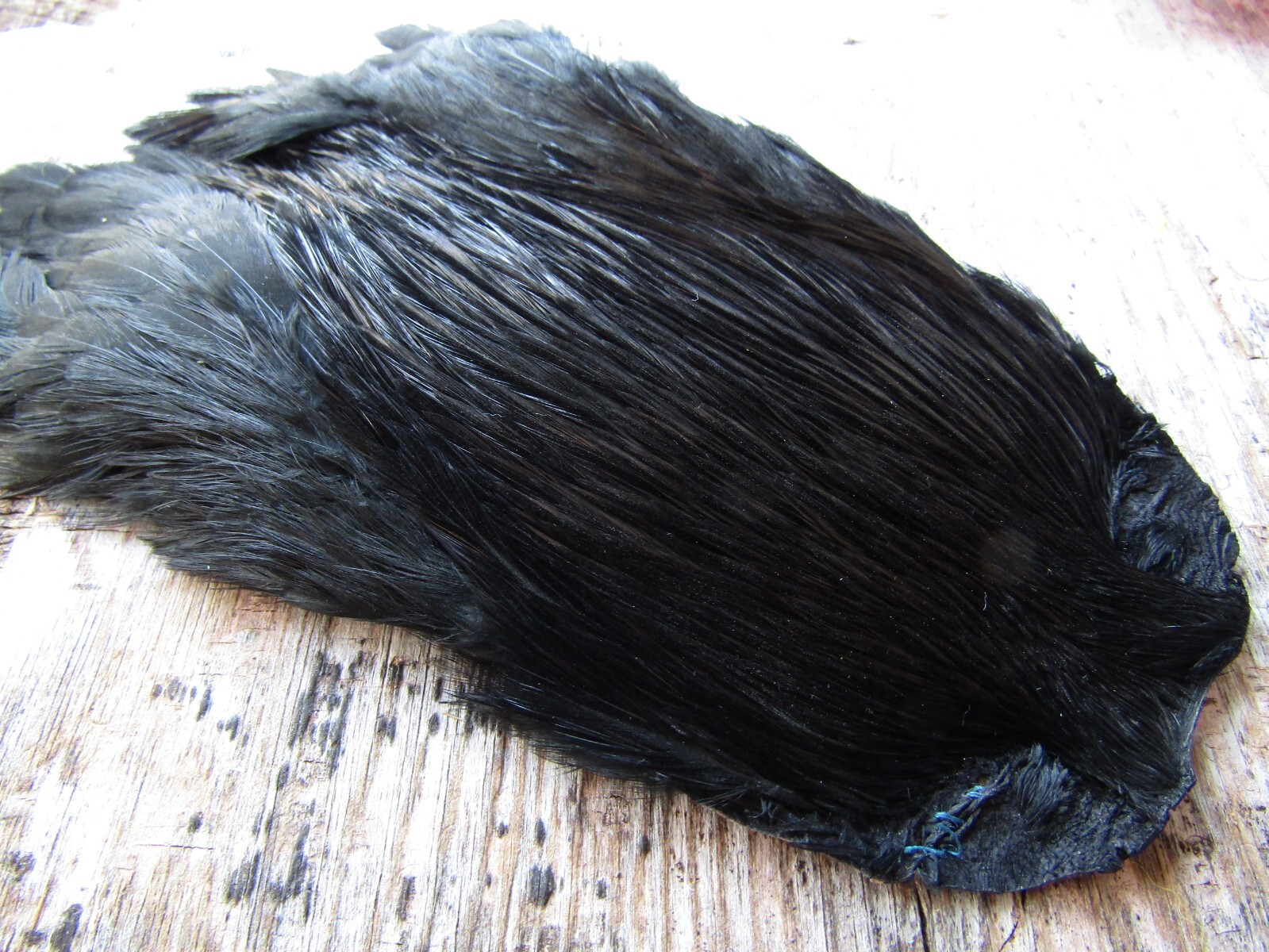 Irish Fly Supplies Domestic Cock Neck Black, hackle, Cape, Bumble. | eBay