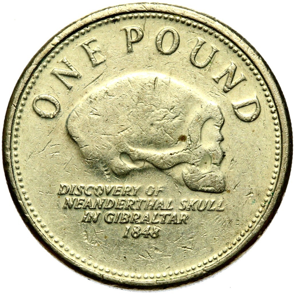 Neanderthal Skull Gibraltar 1 Photograph By Natural Gibraltarian Coin