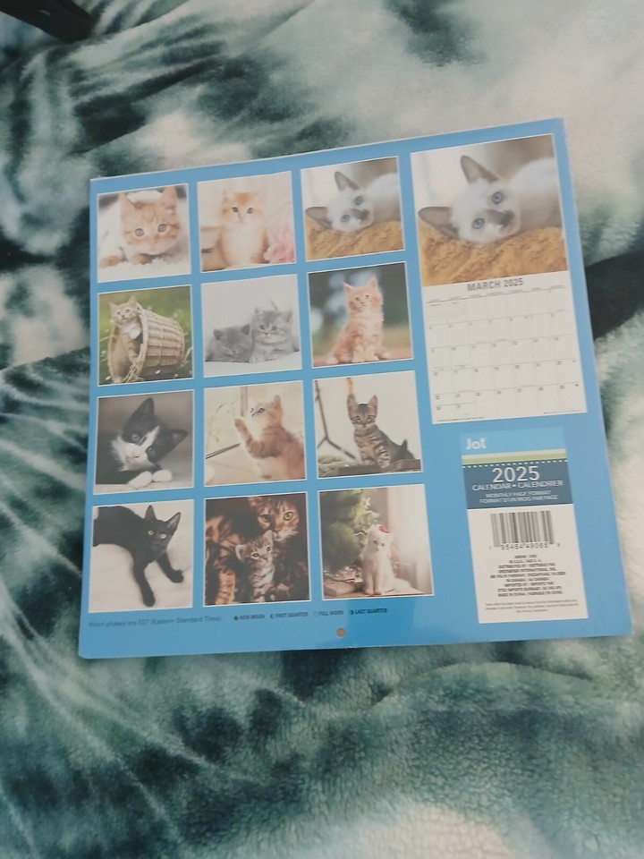 2025 Kittens Cats 12 Month Wall Calendar 12" x 12" and Mini 6" x 6" | eBay