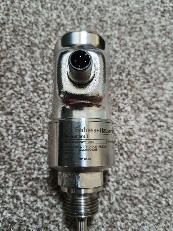 Endress + Hauser Flowphant T DTT31 Flow Switch | eBay
