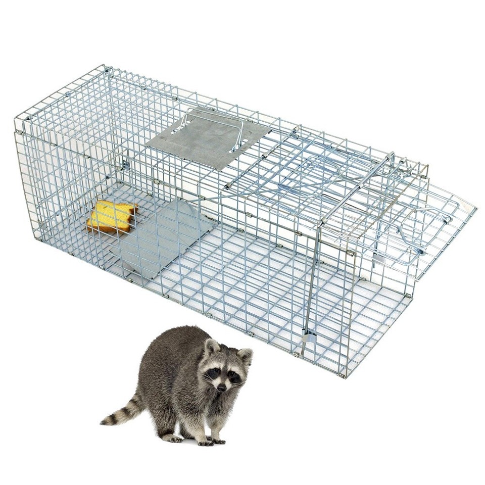 Humane Animal Trap 32x12x12 Steel Cage Live Rodent Control Skunk Rabbit ...