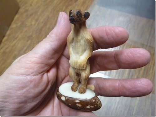 (TNE-MEE-303-A) MEERKAT suricate meerkats TAGUA NUT Figurine VEGETABLE ...