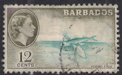 Barbados 1964 - 65 QE2 12ct Flying Fish used SG 296 ( A1090 ) | eBay UK