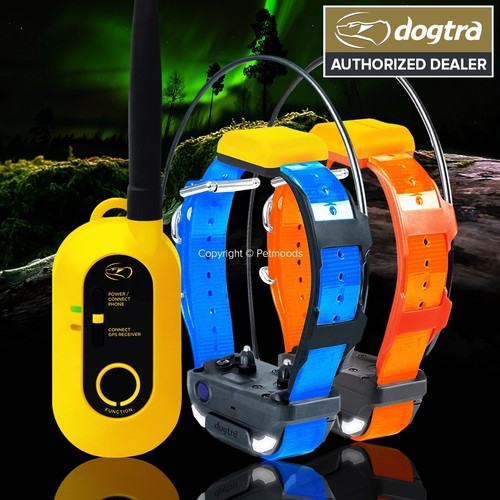 Dogtra Pathfinder2 GPS Track & Training Collar Geo-Fence 2-Dogs | eBay