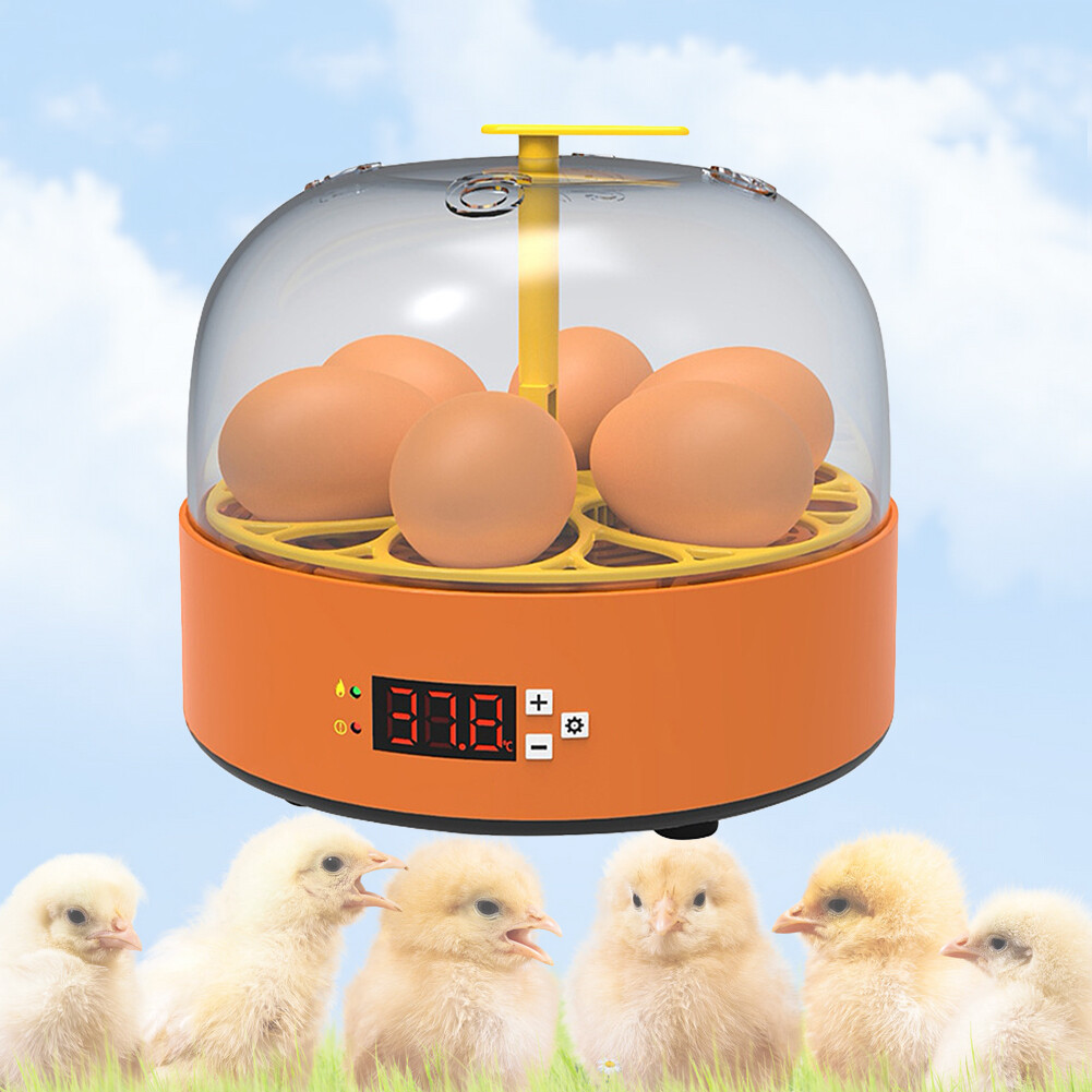 Egg Incubator 15W Hatchery Machine Adjustable Temperature Control (EU ...