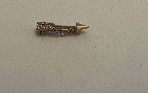 Pi Beta Phi Pledge Lapel Pin Social Sorority Gold Color Arrow Brooch ...