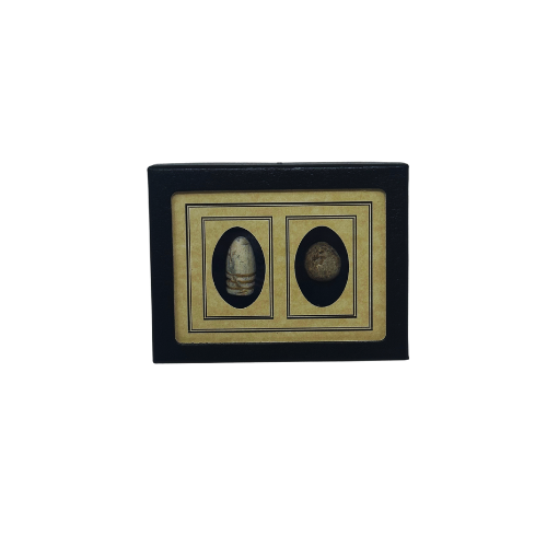 Riker Display Case w/ Mat & Color Foam for Civil War Bullets, Buttons ...