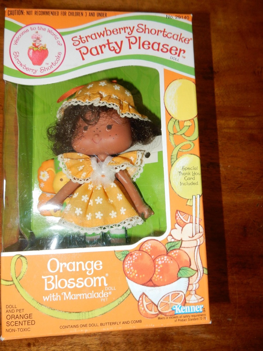 Strawberry Shortcake Vintage Logo ONE Vintage NOS Strawberry Shortcake