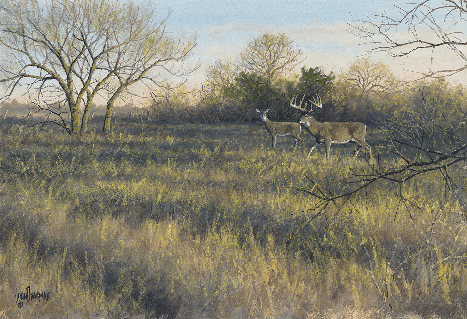 "Bucks" by John Dearman Giclee Print Deer Hunting South Texas | eBay