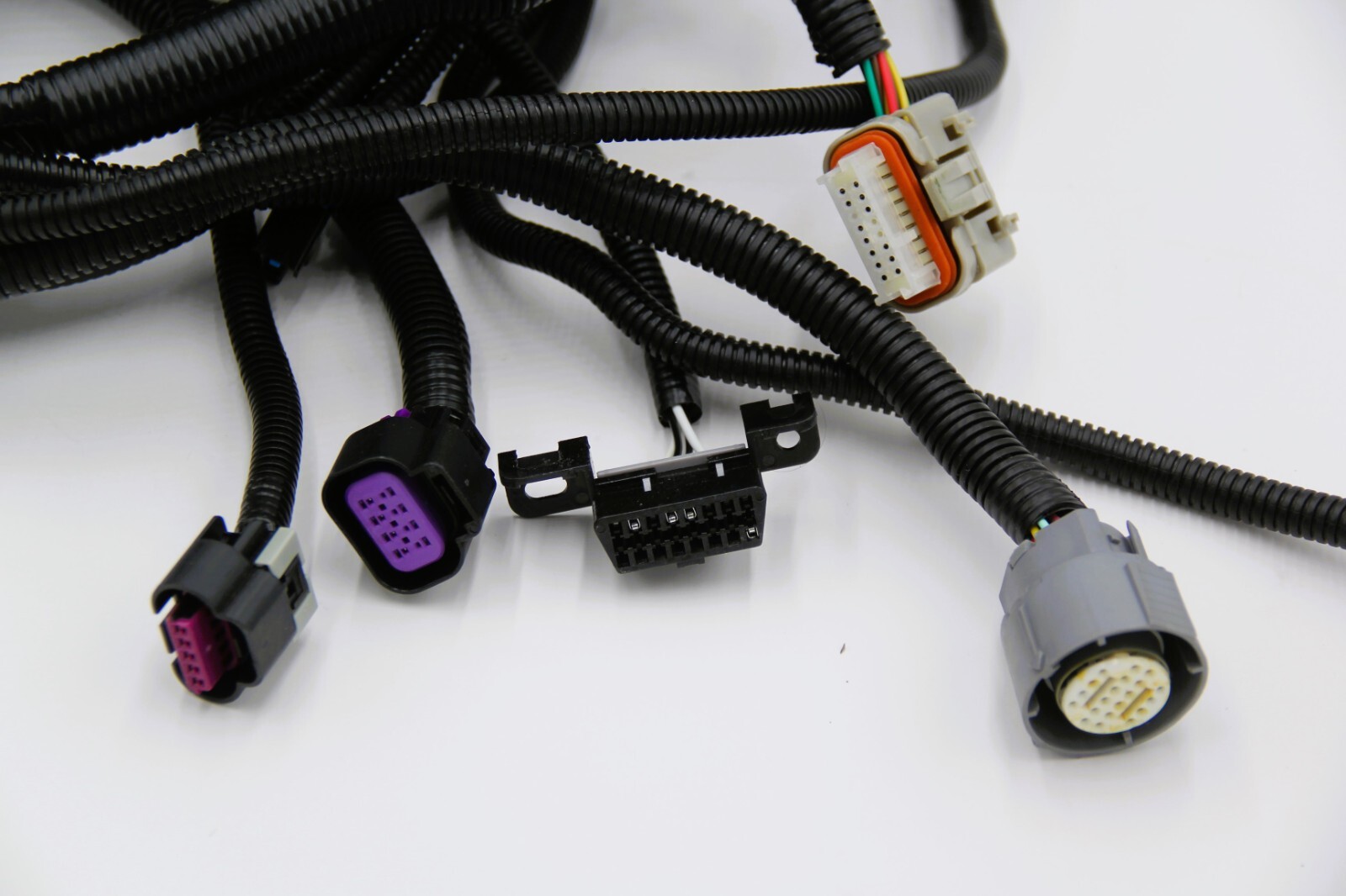 97 - 06 LS1 LS6 4.8 5.3 6.0 LQ4 LQ9 DBW ENGINE 4L80E STANDALONE WIRING ...