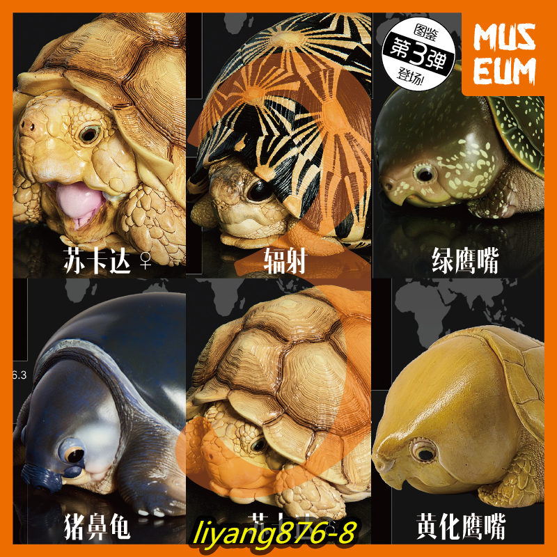 Animal Planet Laugh and Grow Fat Tortoise Blind Box Collector Turtle ...