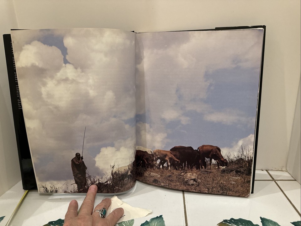 Hunters and the Hunted by Katherine Amman and Karl Ammann (1989 ...