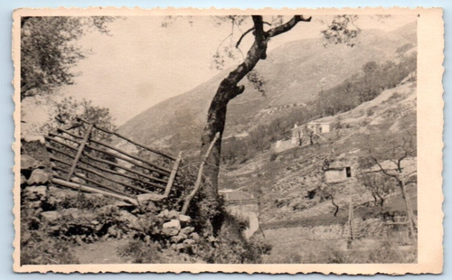 Italian Countryside - 'Ferrania' ITALY Postcard | eBay