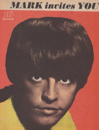 Mark Lindsay portrait pinup 16 magazine photo picture Grateful Dead ...