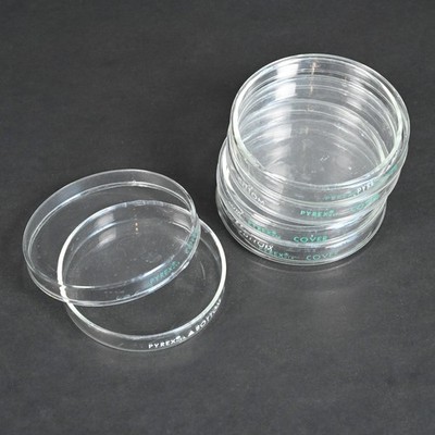 Lot of (5) Pyrex Petri Dishes - 100mm x 15mm with Cover | eBay