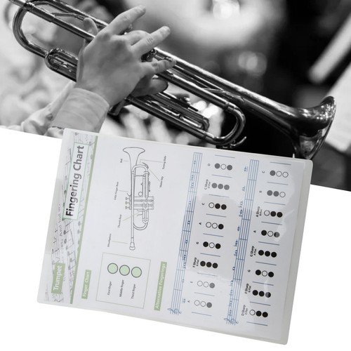 Trumpet Chord Chart Fingering Note Music Instrument Reference Guide | eBay