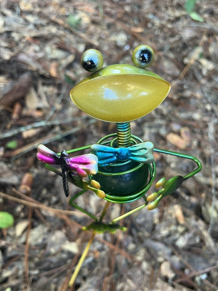 Mr. Wiggles Metal Frog Flower Garden Pick Frog Dragonfly Garden Frog U5f | eBay