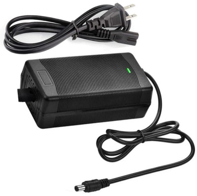 Charger for Rad Power Bikes Battery For Rover 6 Plus, City 5 Plus ...
