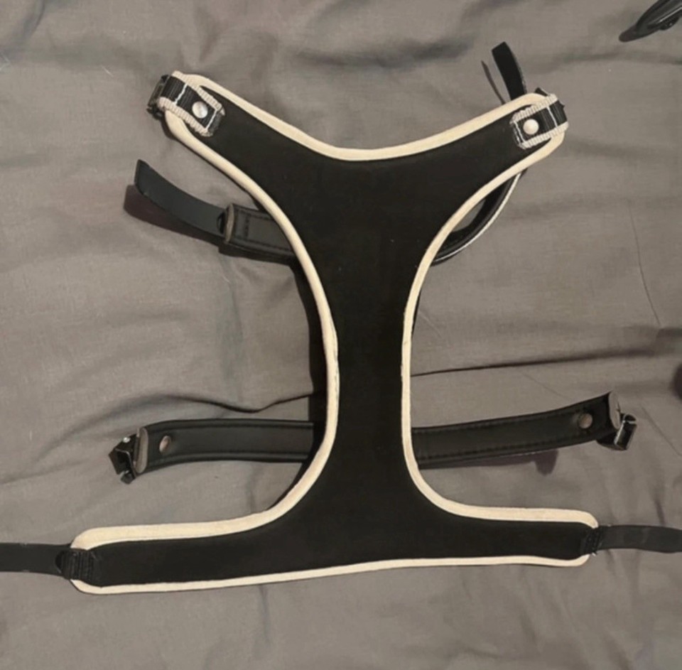 Dog Padded Harness | eBay UK
