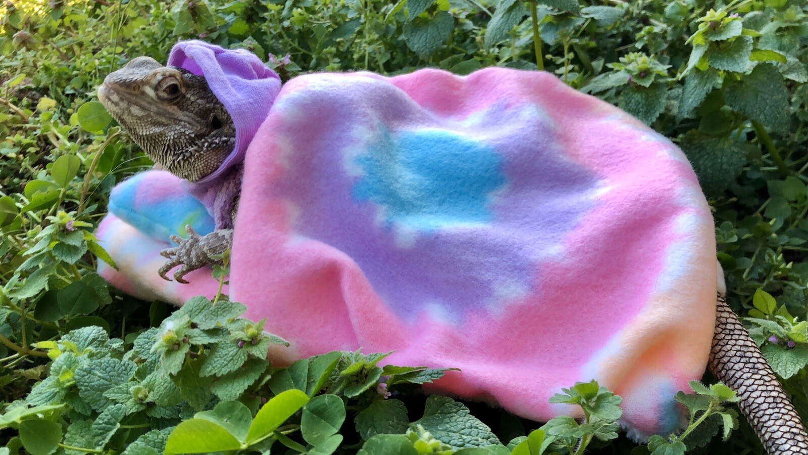 TYE DYE PASTEL PRINT (2) LRG BED SOFT COVERS ONLY/NO FRAME BED 4 ...