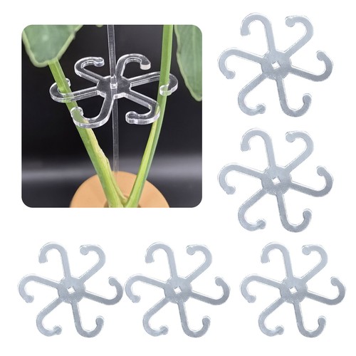 Indoor Plant Accessory Stem Support Acrylic Holders for Outdoor Potted ...