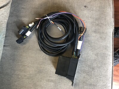 SNOWDOGG BUYERS PLOW TRUCK SIDE LIGHT RELAY HARNESS GENERATION 2 PART ...